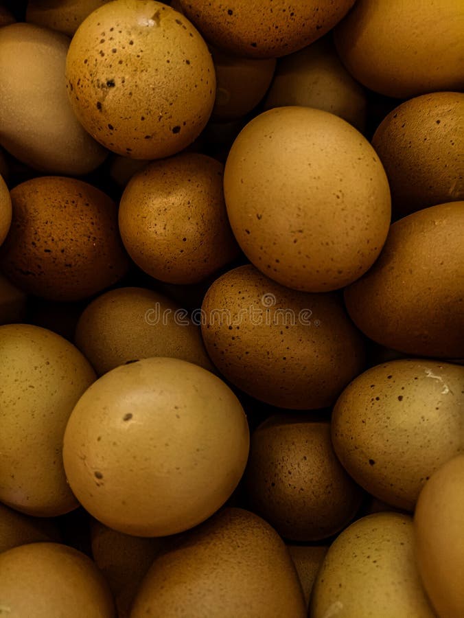 Eggs that Look Fresh and in Perfect Shape Stock Image - Image of food ...