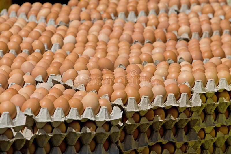 Eggs stock photo. Image of ingredient, ingredients, foodstuff - 31471932