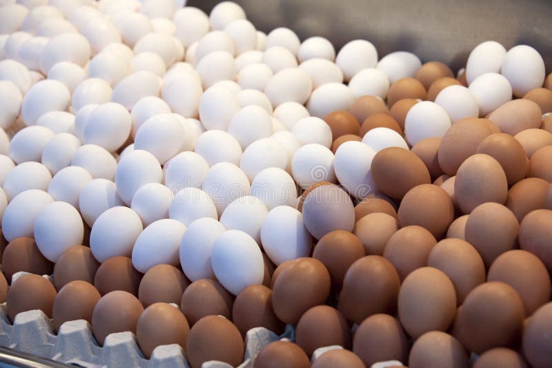 Eggs stock image. Image of market, healthy, hens, organic - 36036157