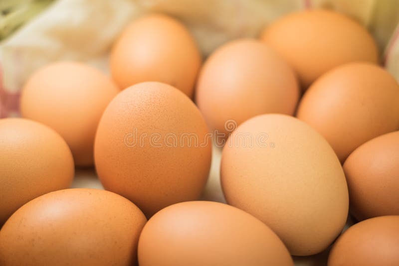 Eggs, Many eggs stock photo. Image of protein, isolated - 54941776