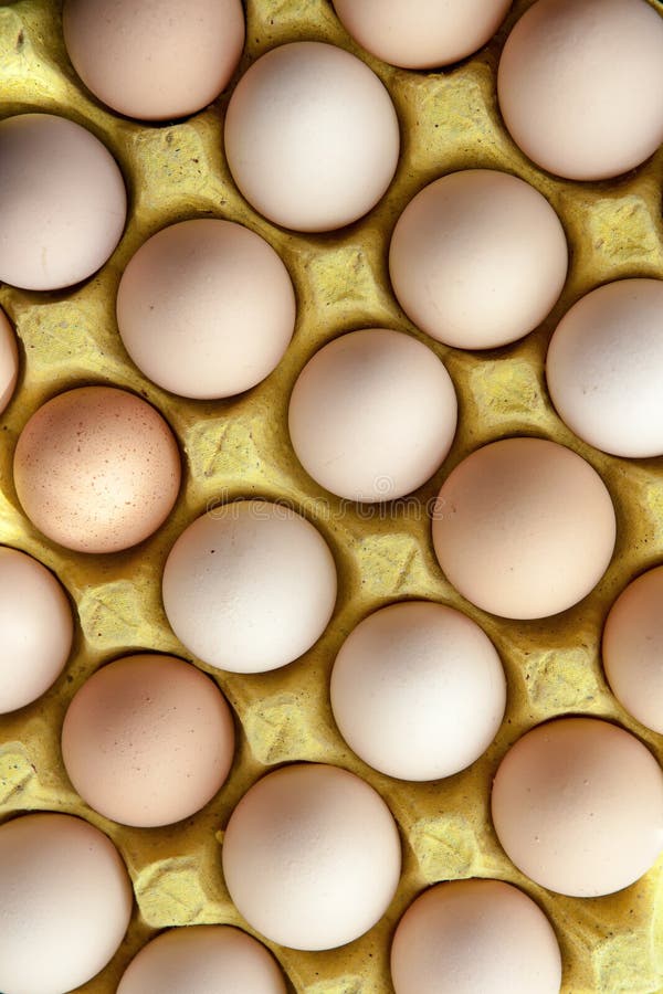 Eggs stock photo. Image of pack, eggs, nourishing, health - 43021338
