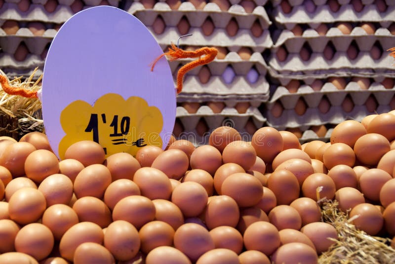 Eggs in the market stock photo. Image of animals, boil - 12137200