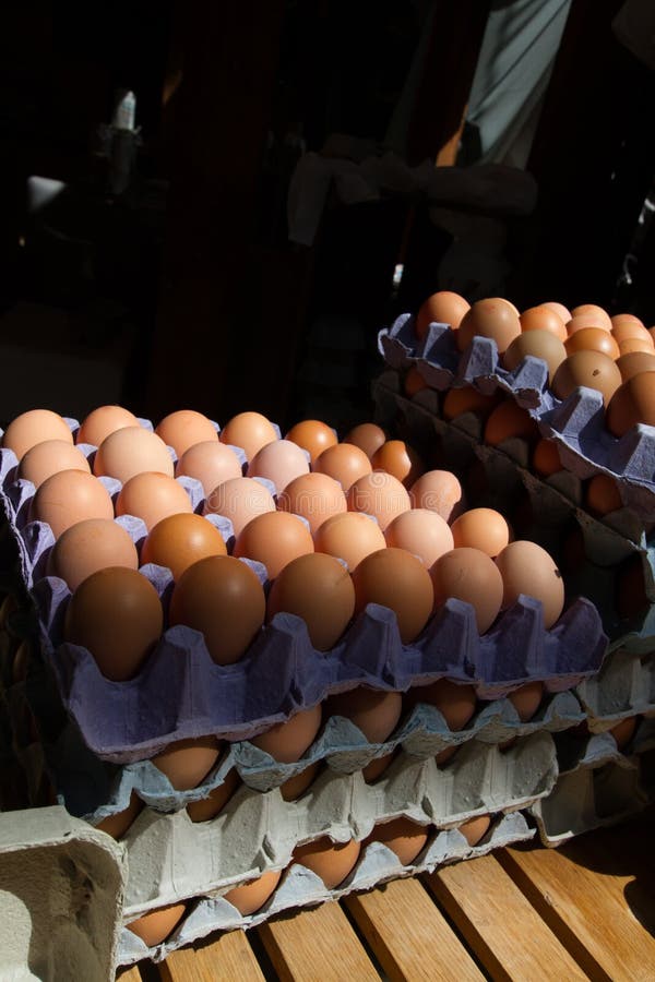 Eggs at market stock photo. Image of natural, ingredient - 30845872