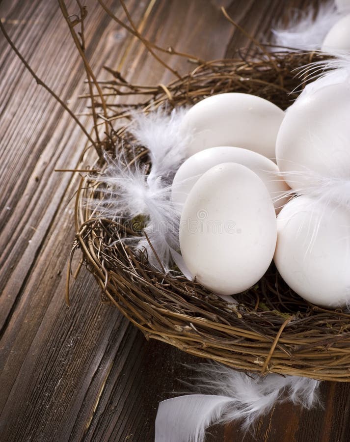 Eggs in the Nest stock image. Image of eastertime, creativity - 18263027