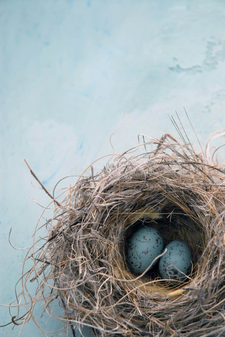 2,581 Nest Building Design Stock Photos - Free & Royalty-Free Stock ...