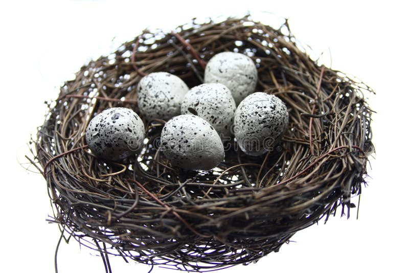 Eggs in nest stock image. Image of spotted, nest, speckle - 8676801