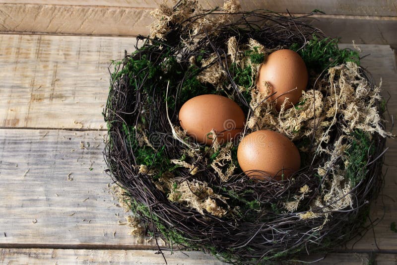 244 Stylized Nest Stock Photos - Free & Royalty-Free Stock Photos from ...