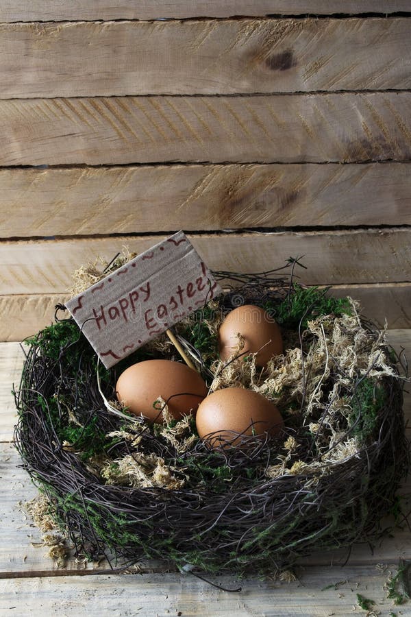 217 Stylized Nest Photos - Free & Royalty-Free Stock Photos from Dreamstime