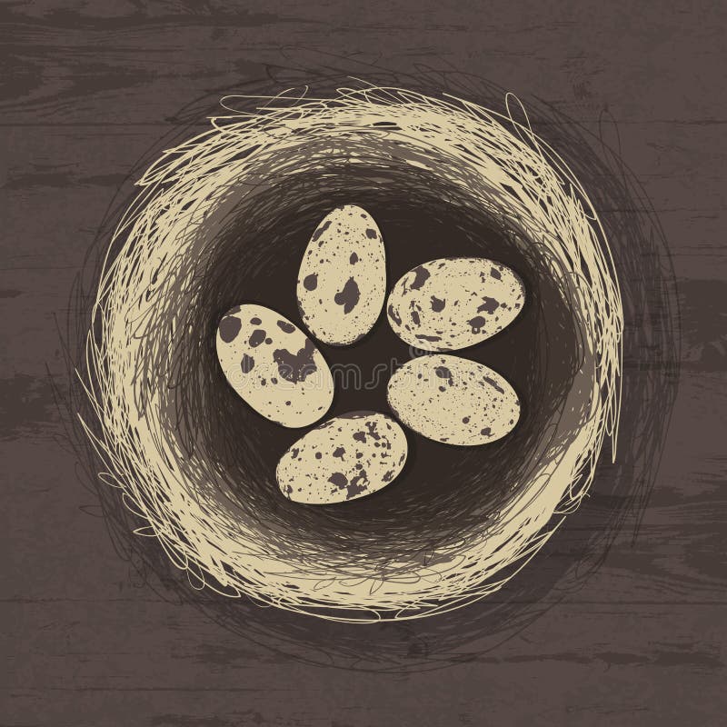 Eggs in Nest on Wooden Texture. Stock Illustration - Illustration of ...