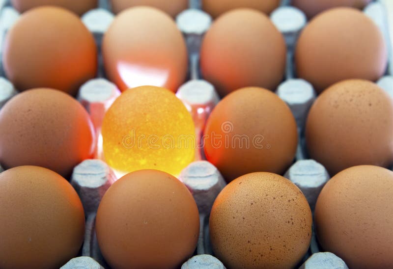 Eggs, One Egg is Illuminated Stock Photo - Image of quail, liquid ...