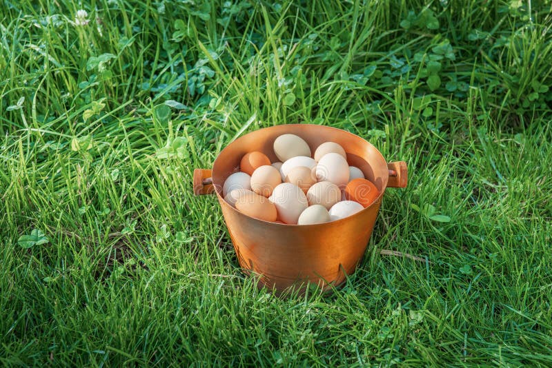 Most Important Muscle Body Stock Photos - Free & Royalty-Free Stock ...