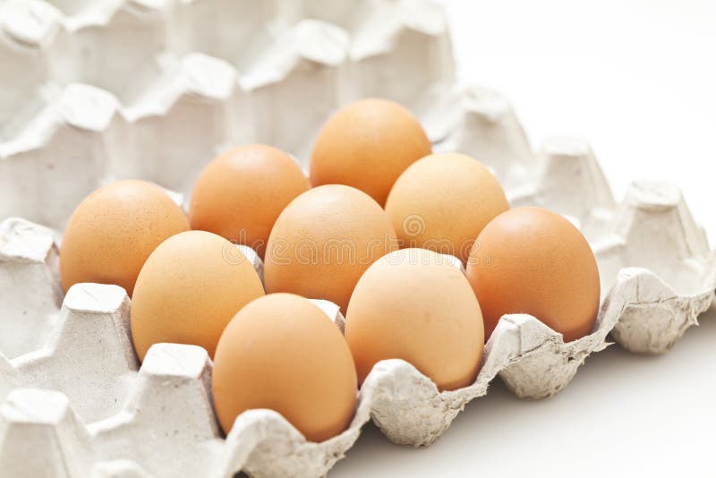 Eggs pack in a box stock photo. Image of fresh, life - 26592674