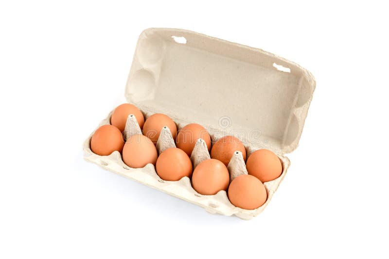 Eggs pack in a box stock photo. Image of fresh, life - 26592674