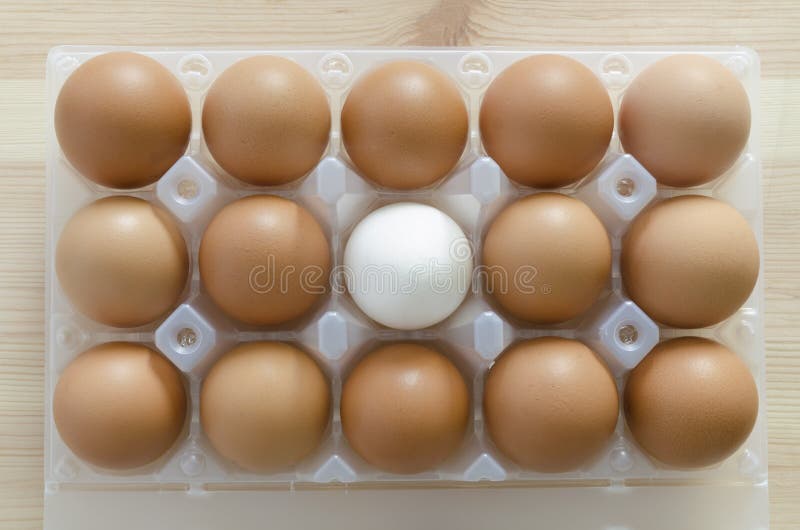 Eggs in package stock photo. Image of plastic, white - 27880954