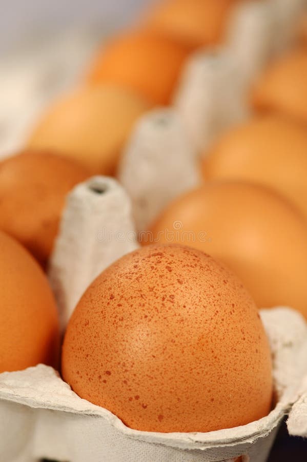 Eggs in a package stock photo. Image of yellow, eggs, softboiled - 392920