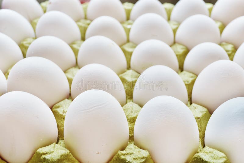 Eggs in the package stock photo. Image of beginning, farm - 69013688