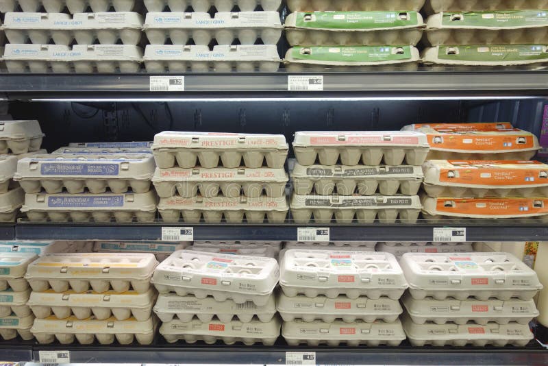 Eggs Packages editorial photo. Image of proteins, healthy - 64923586