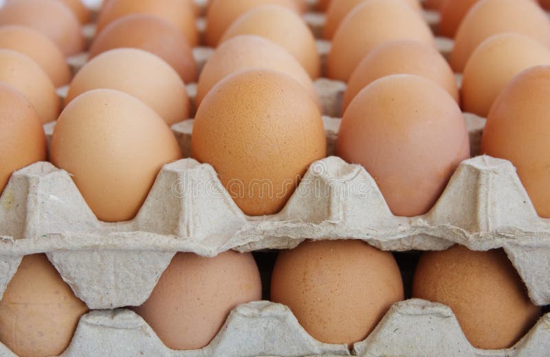 Eggs in packing stock image. Image of brown, dozen, protein - 13599729