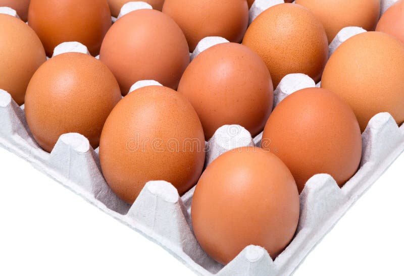 Eggs packing in carton box stock image. Image of carton - 311563089