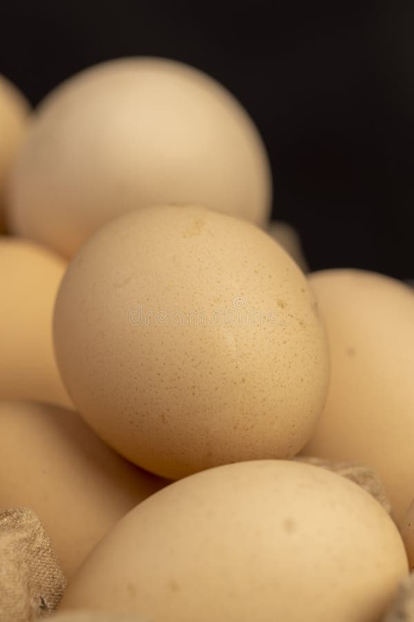 Eggs in Paper Packaging, Chicken Eggs during Packaging, Side View Stock ...