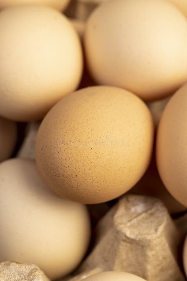 Eggs in Paper Packaging, Fresh Chicken Eggs during Packaging, Close Up ...