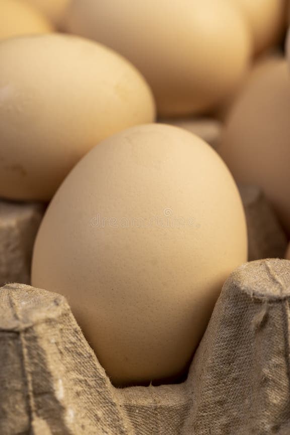 Eggs in Paper Packaging, Fresh Large Chicken Eggs during Packaging ...