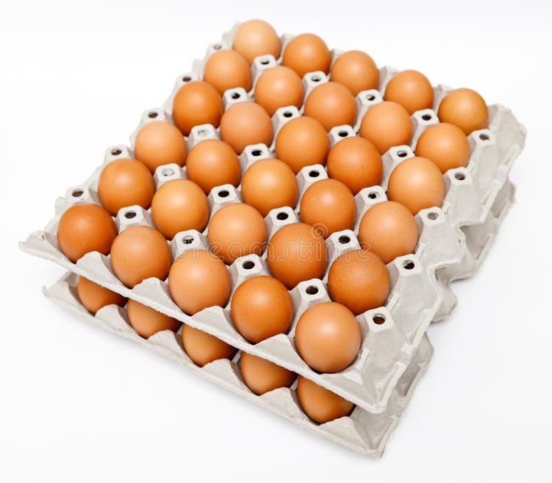 Eggs in paper tray stock photo. Image of fresh, food - 26048650