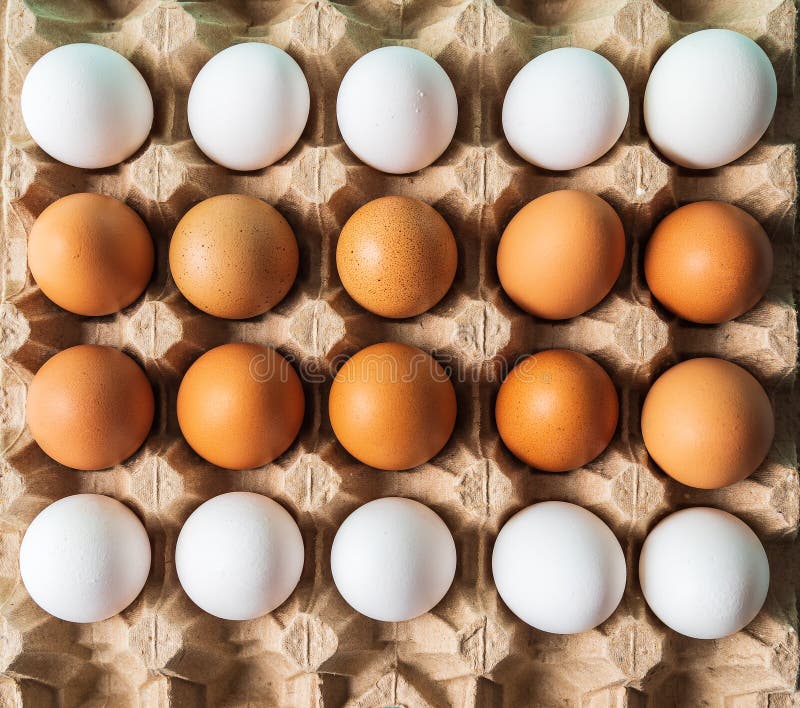 Eggs Pattern on Net for Eggs, Flat Lay Stock Photo - Image of pastel ...