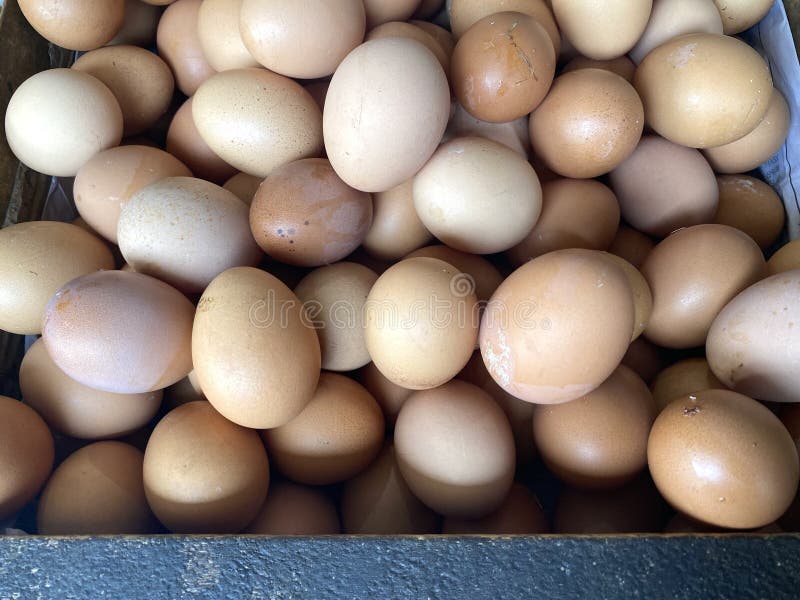 Eggs Piled Up in a Crate Brain in an Egg Shop Stock Photo - Image of ...