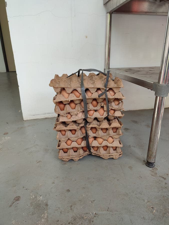 Eggs Plastic Strap Rack Stainless Steel Wall Floor Stock Image - Image ...