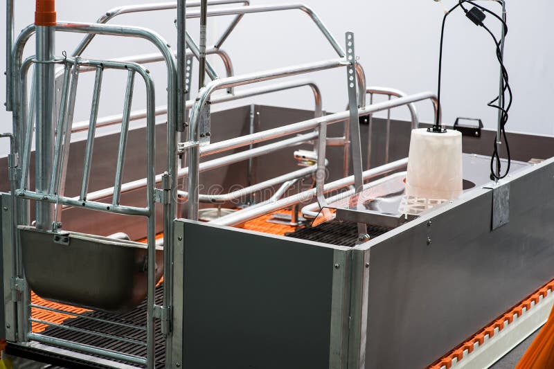 Eggs Production Incubator Inside Stock Photo - Image of mass, factory ...