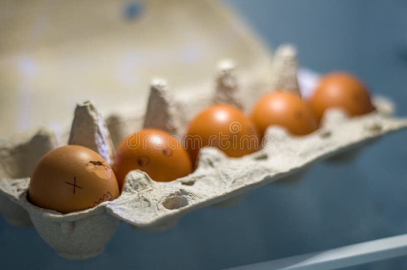 Eggs in the Refrigerator. a Broken Egg. Rotten Food Stock Photo - Image ...