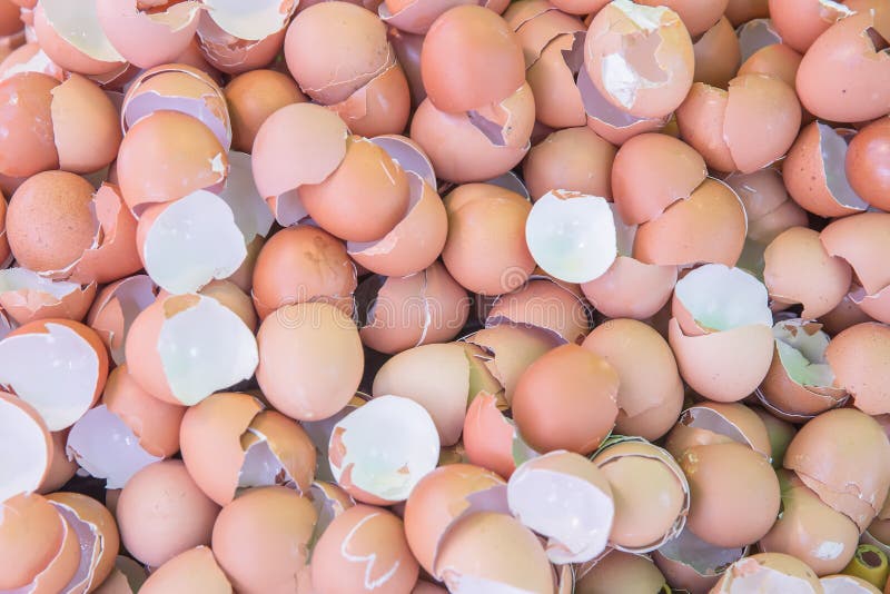 Eggs shell background stock image. Image of life, food - 92842875