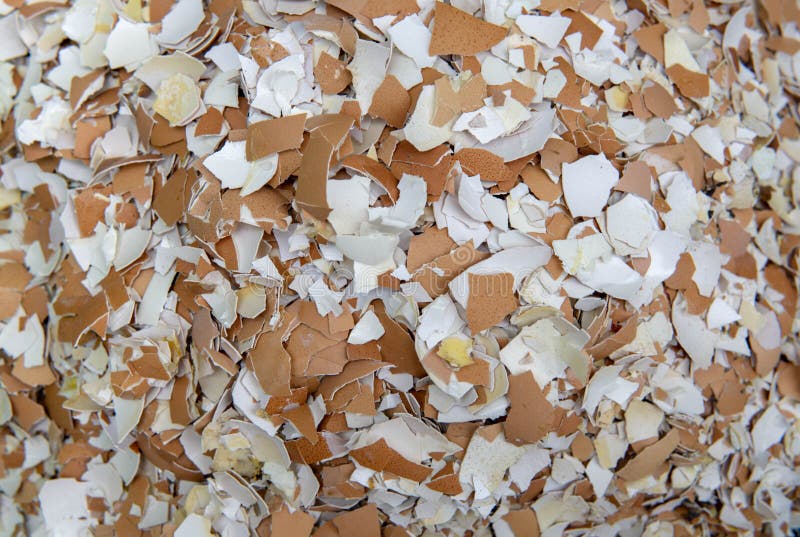 Eggs shell break up stock image. Image of fertilizer - 118746133