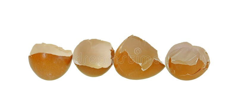 Eggs Shell Isolated on a White Background Stock Photo - Image of ...