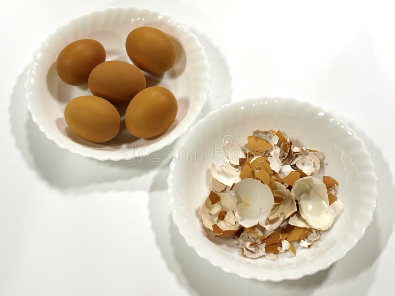 Eggs and shells stock image. Image of full, poor, meal - 12198315