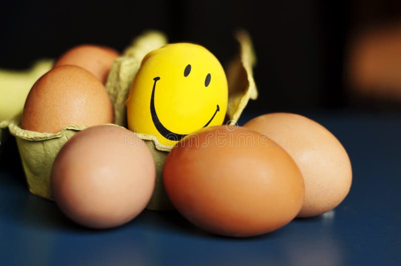 Eggs and smiley stock photo. Image of eggs, copy, face - 32924432