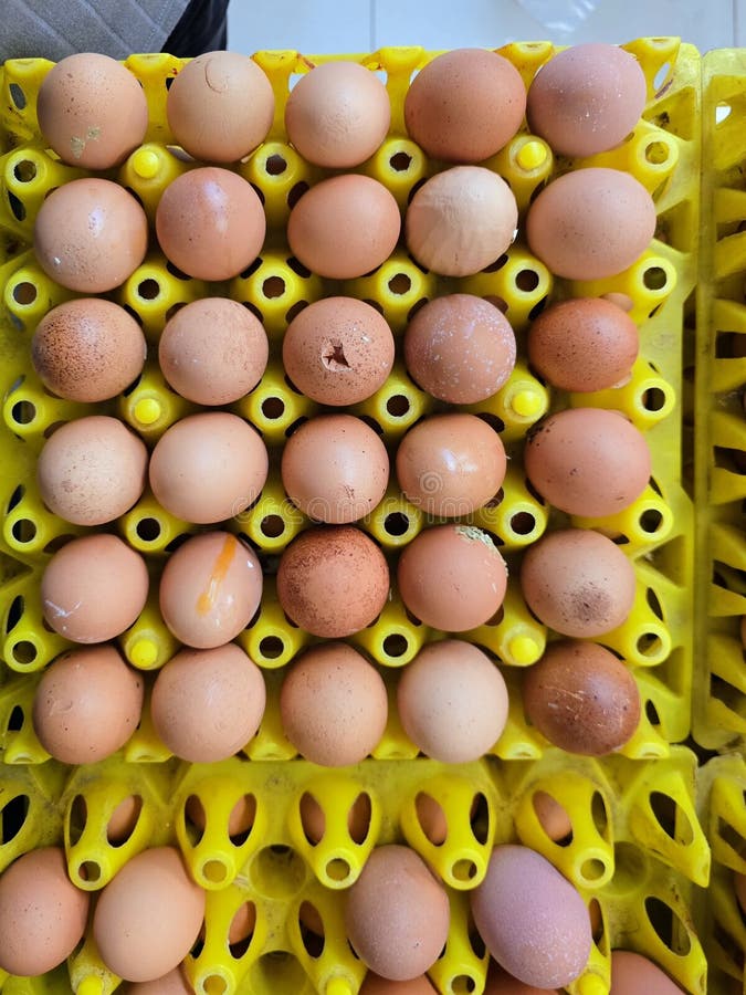 The Eggs from the Store. Crack One Stock Image - Image of store, market ...