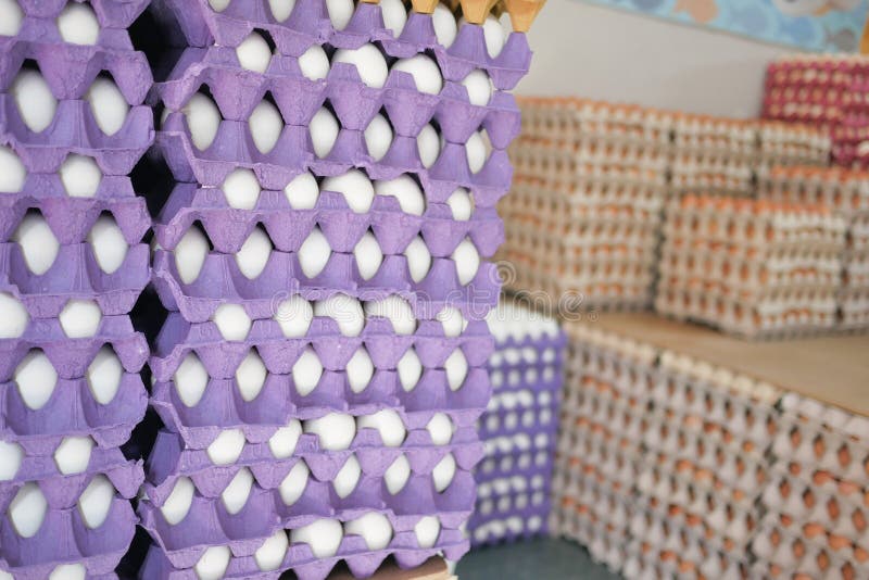 Eggs in the Supermarket a Lot of Eggs Cardboard Trays Stock Image ...