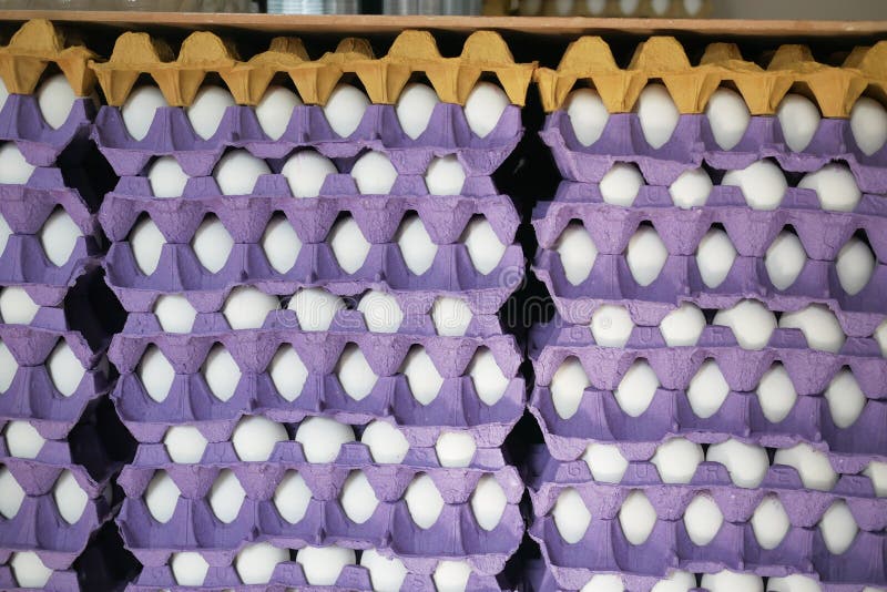 Eggs in the Supermarket a Lot of Eggs Cardboard Trays Stock Photo ...