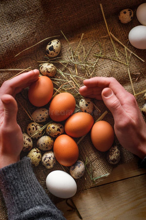 A handful of eggs in hands stock image. Image of basket - 110970907