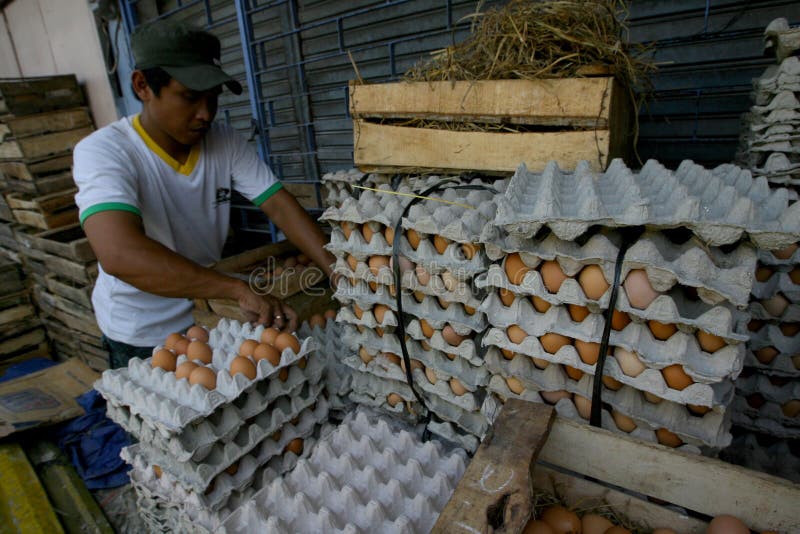 Eggs editorial image. Image of traders, pack, city, business - 41654980