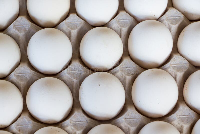 Eggs in Tray. Eggs on the Egg Tray Stock Image - Image of easter ...