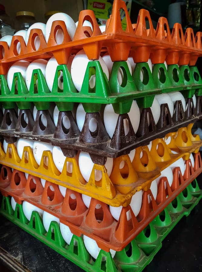 Eggs tray stock image. Image of tray, laid, eggs - 218978057