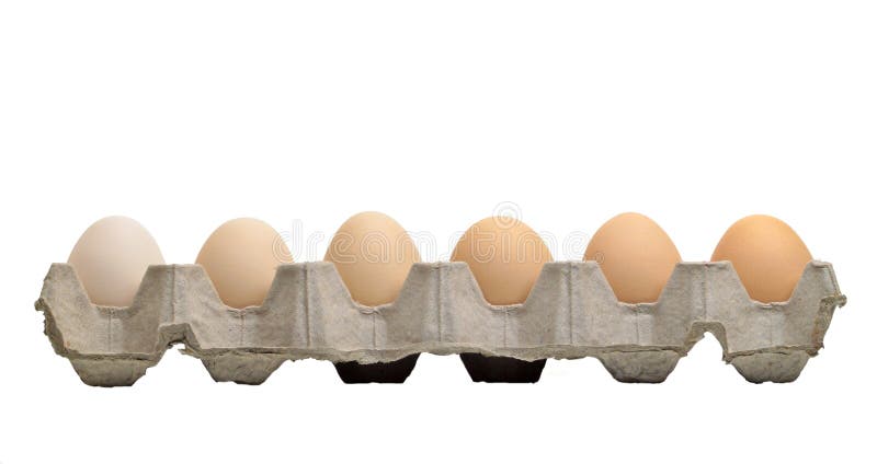 Eggs Tray on White Isolation Stock Photo - Image of isolation, protein ...