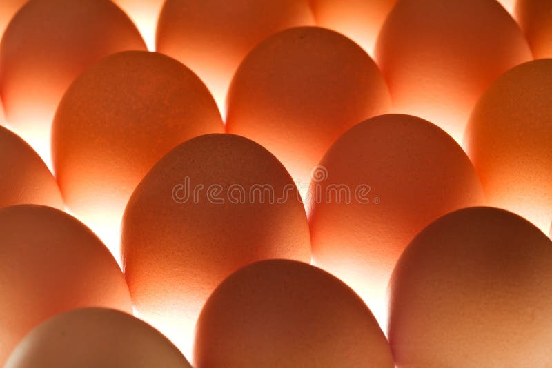 Eggs - under lit stock image. Image of abstract, oval - 18320485