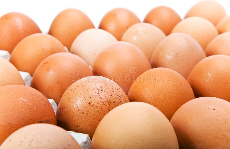 Eggs on white background stock photo. Image of basket - 17778964