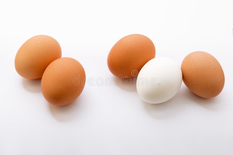 Eggs on white background stock photo. Image of natural - 62653362