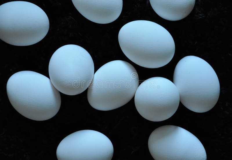 Powerpoint Kitchen Stock Photos - Free & Royalty-Free Stock Photos from ...