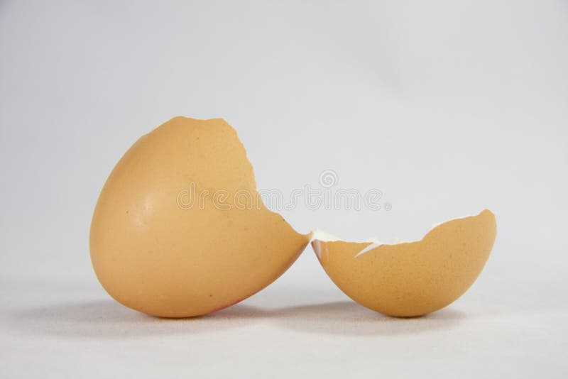 Eggshell stock photo. Image of easter, brown, beginning - 18390528